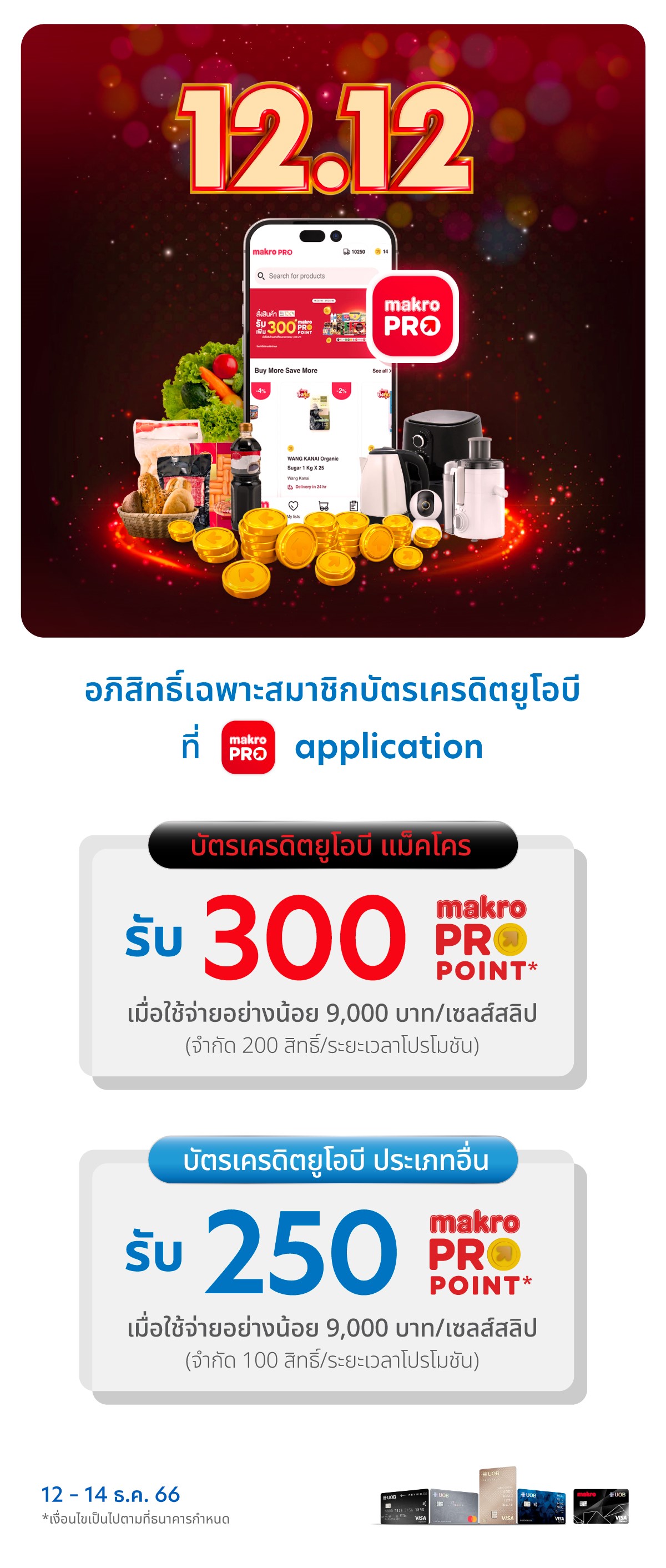 รับแม็คโครโปรพอยท์เพิ่ม 12.12 ช้อปสุดคุ้มกับบัตรเครดิตยูโอบีที่ Makro PRO App